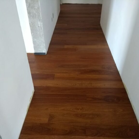 Brazilian Chestnut – Triângulo